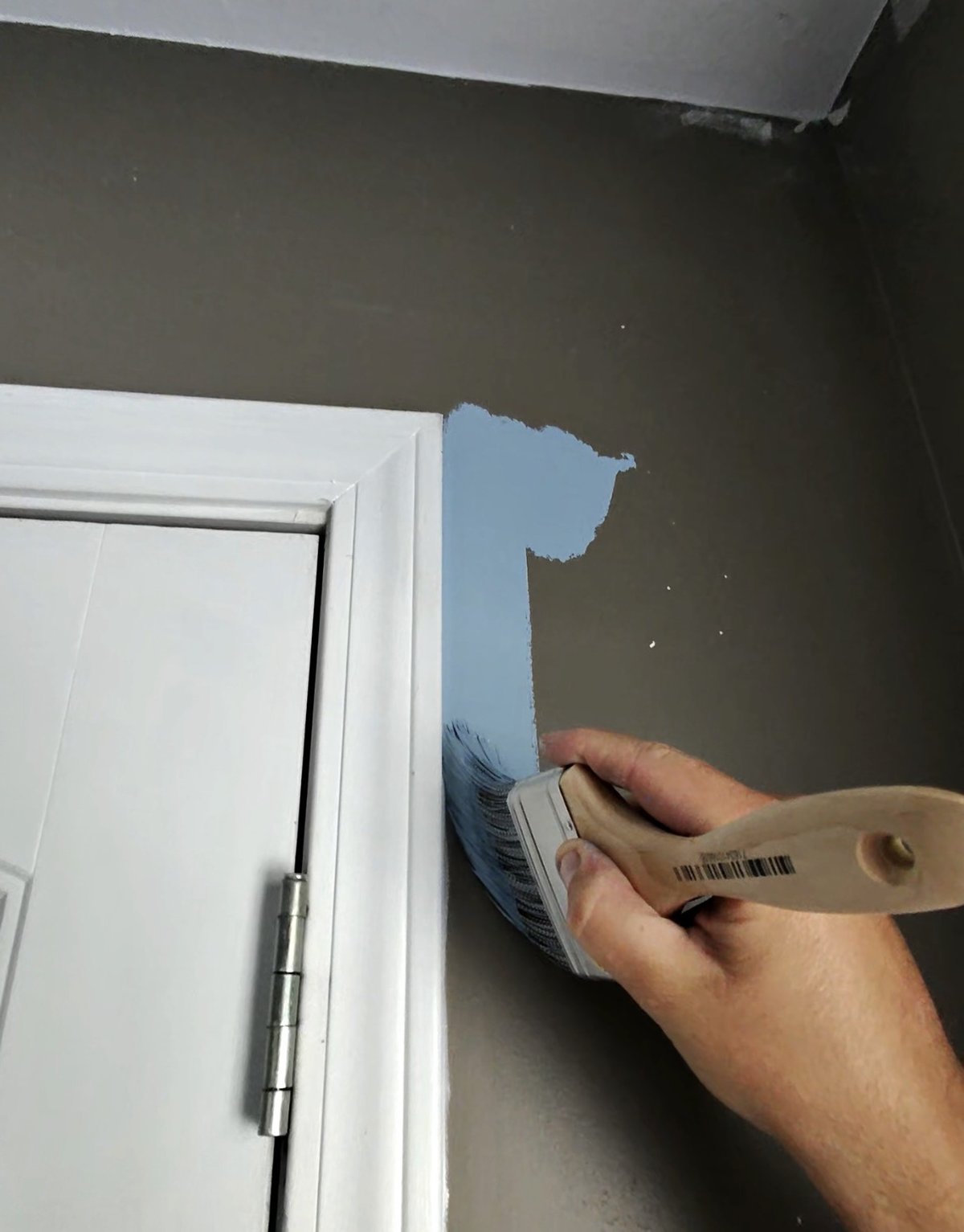 Emerald Symmetry Review: Sherwin-Williams® New Zero-VOC, Plant-Based ...
