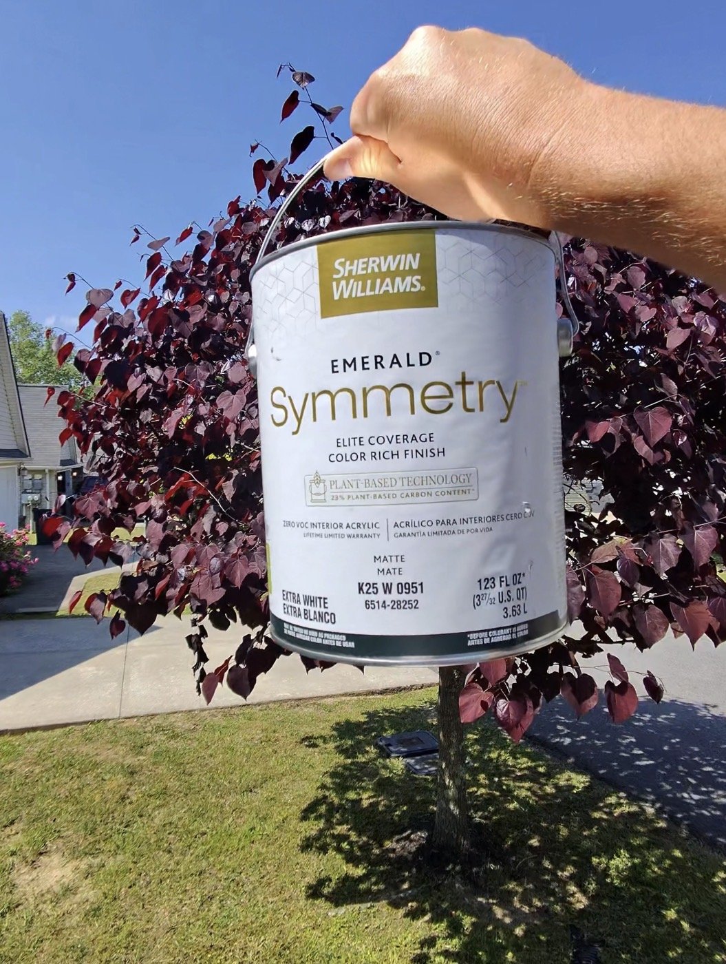 Emerald Symmetry Review: Sherwin-Williams® New Zero-VOC, Plant-Based ...
